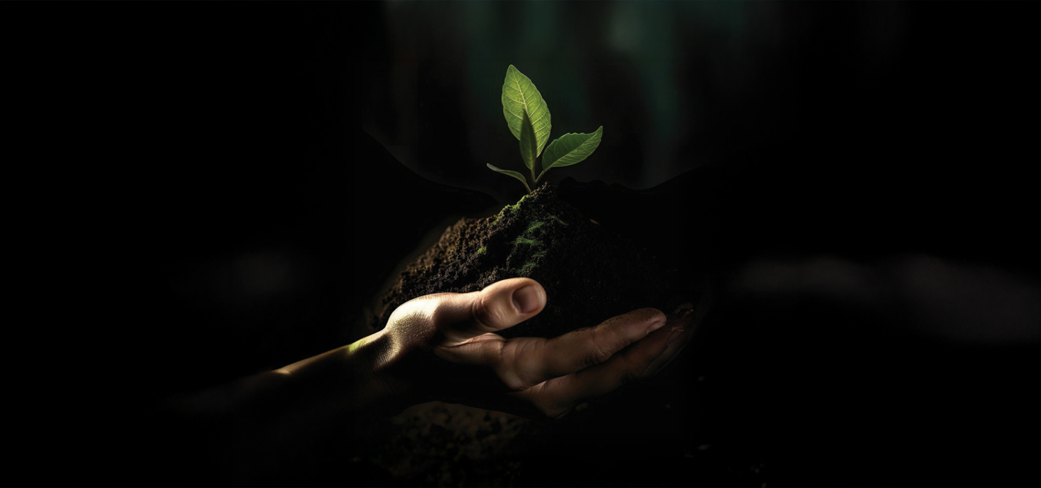 Carbon-Rich Material: Improves Soil Health - Brodie Biomass