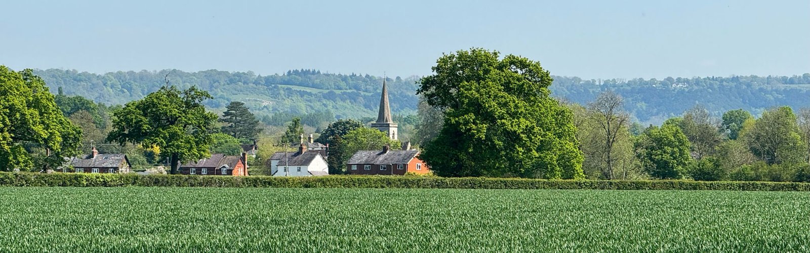 Biochar For Sale - UK Biochar Production - Brodie Biomass